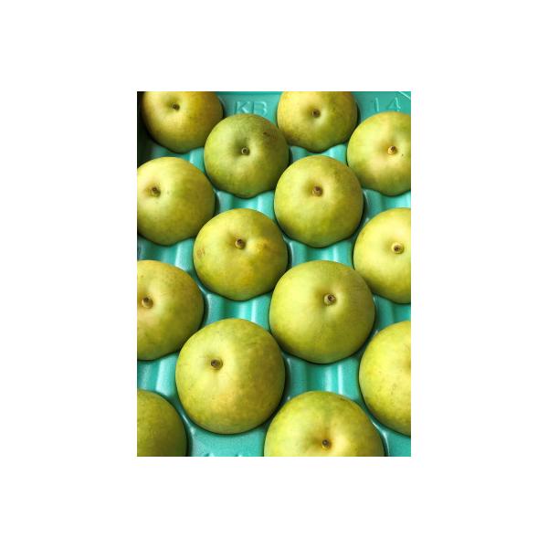 ■お礼品詳細　・配送種別：通常■お申し込み・配送・その他　・発送時期：2026-09-01〜2026-09-18（お届け時間帯指定可）　・申込受付期間：2026-01-01〜2026-08-10　・配達外のエリア：　・寄付証明書の送付時期目...