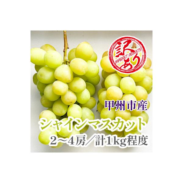 ■お礼品詳細　・配送種別：冷蔵便■お申し込み・配送・その他　・発送時期：2026-09-01〜2026-10-31（お届け時間帯指定可）　・申込受付期間：〜2026-10-15　・配達外のエリア：離島、沖縄県　・寄付証明書の送付時期目安：申...