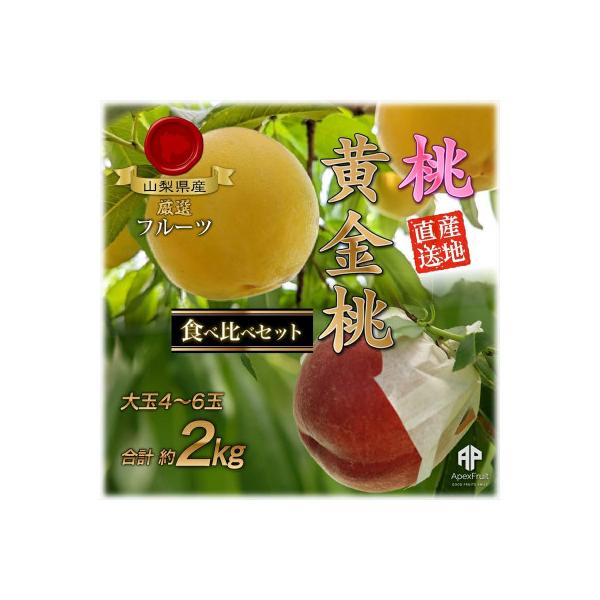 ■お礼品詳細　・配送種別：冷蔵便■お申し込み・配送・その他　・発送時期：2026/7/15〜2026/9/15（お届け時間帯指定可）　・申込受付期間：〜2026/8/20　・配達外のエリア：離島、沖縄県　・寄付証明書の送付時期目安：申込完了...