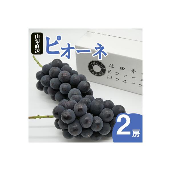 ■お礼品詳細　・配送種別：通常■お申し込み・配送・その他　・発送時期：2026-8-10〜2026-11-30（お届け時間帯指定可）　・申込受付期間：〜2026-10-31　・配達外のエリア：離島、沖縄県　・寄付証明書の送付時期目安：申込完...