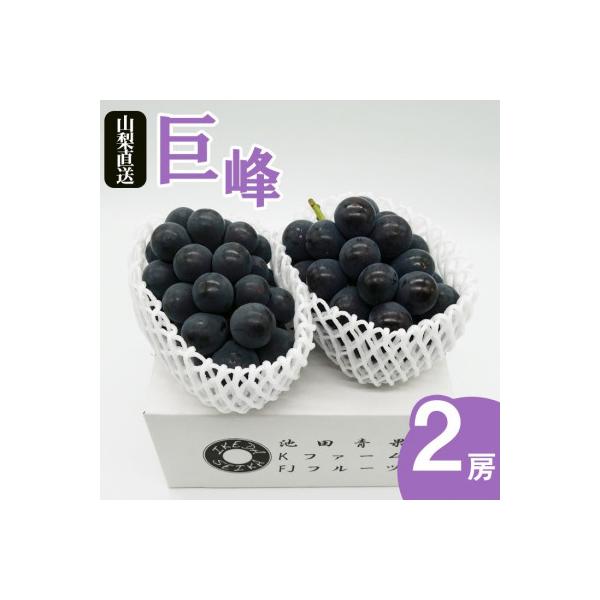 ■お礼品詳細　・配送種別：通常■お申し込み・配送・その他　・発送時期：2026-8-10〜2026-11-30（お届け時間帯指定可）　・申込受付期間：〜2026-10-31　・配達外のエリア：離島、沖縄県　・寄付証明書の送付時期目安：申込完...