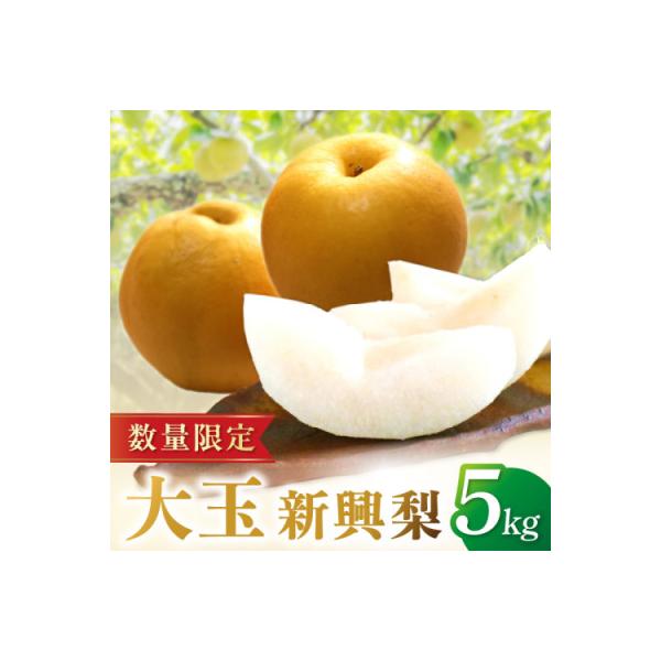 ■お礼品詳細　・配送種別：通常■お申し込み・配送・その他　・発送時期：2026-10-15〜2026-11-10（お届け時間帯指定可）　・申込受付期間：〜2026-10-20　・配達外のエリア：　・寄付証明書の送付時期目安：申込完了日から２...