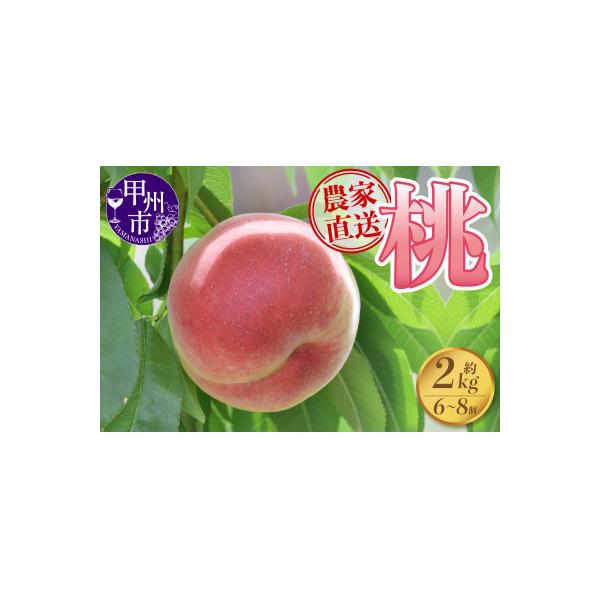 ■お礼品詳細　・配送種別：冷蔵便■お申し込み・配送・その他　・発送時期：2026-07-05〜2026-08-05（お届け時間帯指定可）　・申込受付期間：〜2026-06-30　・配達外のエリア：離島、沖縄県　・寄付証明書の送付時期目安：申...