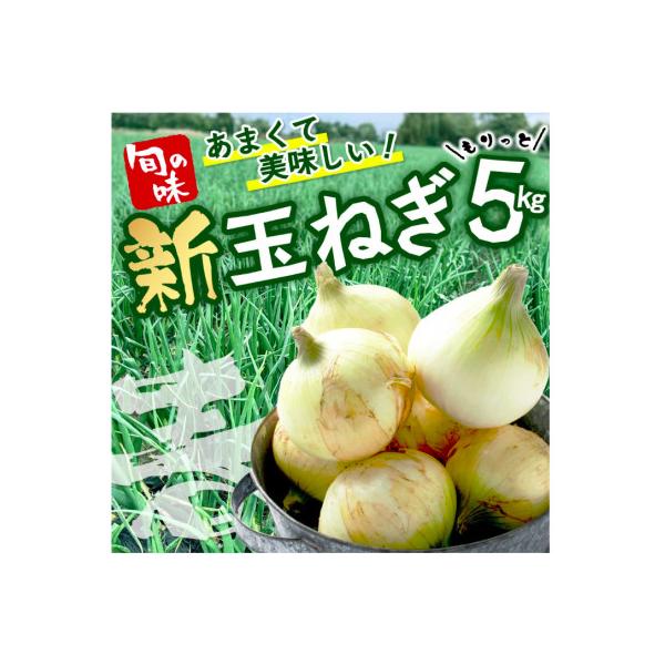 ■お礼品詳細　・配送種別：通常■お申し込み・配送・その他　・発送時期：2026-04-28〜2026-05-28（お届け時間帯指定可）　・申込受付期間：〜2026-05-22　・配達外のエリア：　・寄付証明書の送付時期目安：申込完了日から２...