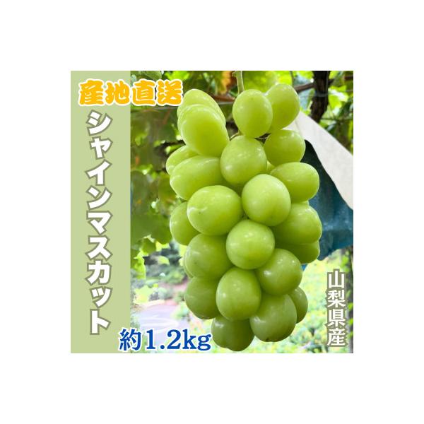■お礼品詳細　・配送種別：冷蔵便■お申し込み・配送・その他　・発送時期：2026-09-05〜2026-10-15（お届け時間帯指定可）　・申込受付期間：〜2026-08-31　・配達外のエリア：離島、沖縄県　・寄付証明書の送付時期目安：申...
