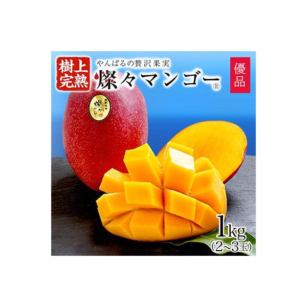 ■お礼品詳細　・配送種別：冷蔵便■お申し込み・配送・その他　・発送時期：2026年7月以降、順次発送　・申込受付期間：2025/12/26〜2026/08/31　・配達外のエリア：離島　・寄付証明書の送付時期目安：申込完了日から２週間程度 ...