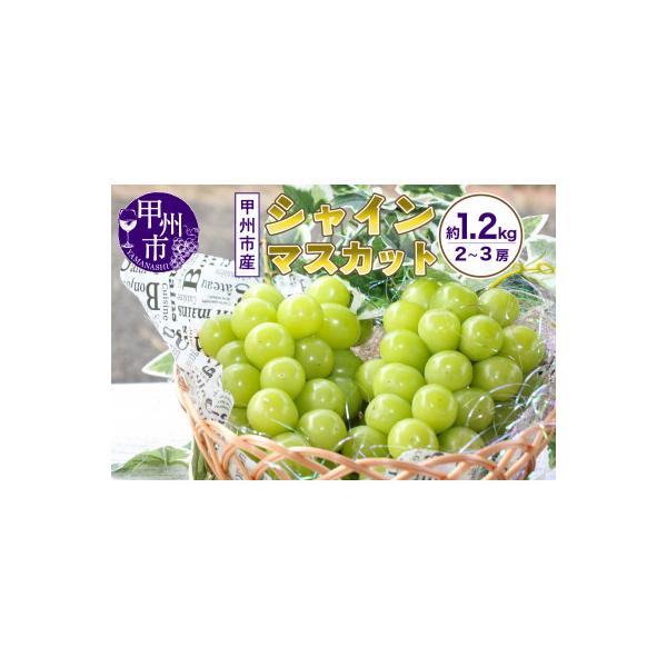 ■お礼品詳細　・配送種別：通常■お申し込み・配送・その他　・発送時期：2026年8月25日〜2026年10月15日（お届け時間帯指定可）　・申込受付期間：〜2026年8月31日　・配達外のエリア：離島、沖縄県　・寄付証明書の送付時期目安：申...