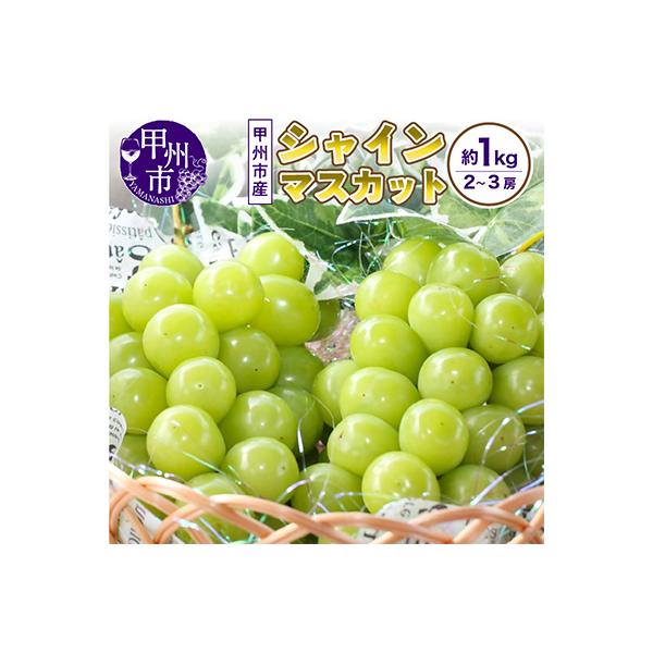 ■お礼品詳細　・配送種別：通常■お申し込み・配送・その他　・発送時期：2026年8月25日〜2026年10月15日（お届け時間帯指定可）　・申込受付期間：〜2026年8月31日　・配達外のエリア：離島、沖縄県　・寄付証明書の送付時期目安：申...