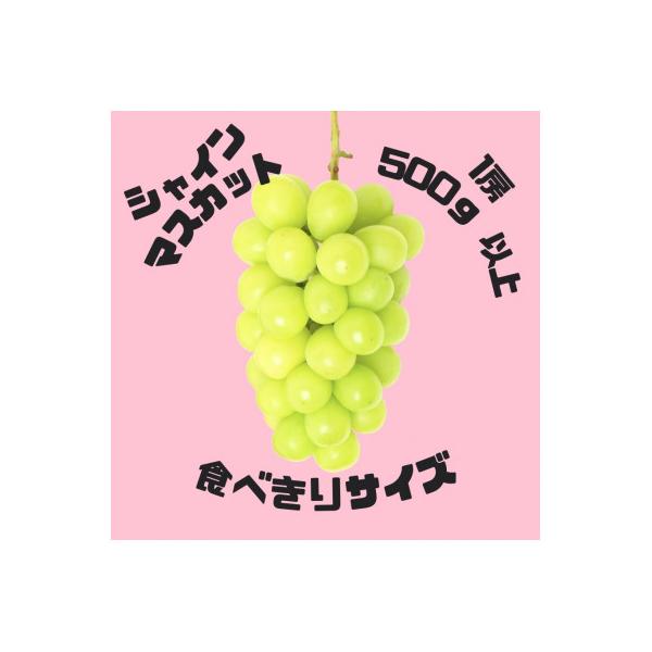 ■お礼品詳細　・配送種別：通常■お申し込み・配送・その他　・発送時期：2026-08-24〜2026-10-05（お届け時間帯指定可）　・申込受付期間：〜2026-08-25　・配達外のエリア：離島、沖縄県　・寄付証明書の送付時期目安：申込...