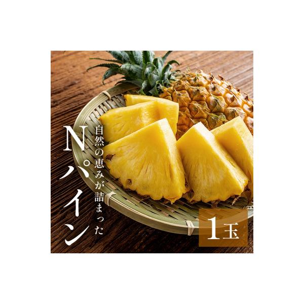 ■お礼品詳細　・配送種別：通常■お申し込み・配送・その他　・発送時期：2026-07-31〜2026-08-31（お届け時間帯指定可）　・申込受付期間：2025-09-17〜2026-07-31　・配達外のエリア：　・寄付証明書の送付時期目...