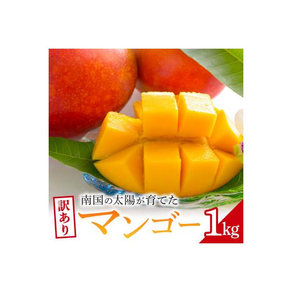 ■お礼品詳細　・配送種別：冷蔵便■お申し込み・配送・その他　・発送時期：2026-06-22〜2026-07-31（お届け時間帯指定可）　・申込受付期間：2025-09-17〜2026-06-01　・配達外のエリア：離島　・寄付証明書の送付...