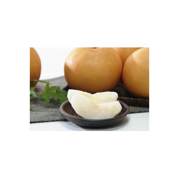 ■お礼品詳細　・配送種別：冷蔵便■お申し込み・配送・その他　・発送時期：2026-10-05〜2026-10-30（お届け時間帯指定可）　・申込受付期間：〜2026-10-20　・配達外のエリア：離島、北海道、沖縄県　・寄付証明書の送付時期...