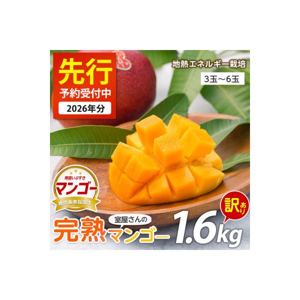 ■お礼品詳細　・配送種別：冷蔵便■お申し込み・配送・その他　・発送時期：2026年6月上旬頃〜順次発送いたします。※生育状況により前後する場合ございますのでご了承ください。　・申込受付期間：〜2026-07-11　・配達外のエリア：離島　・...