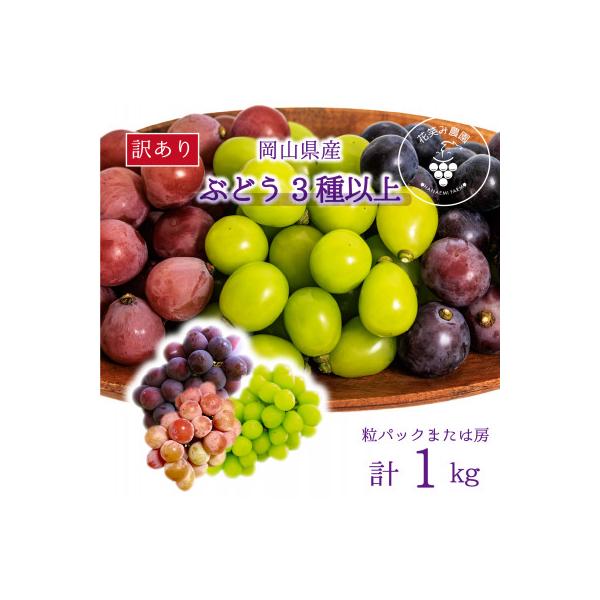■お礼品詳細　・配送種別：冷蔵便■お申し込み・配送・その他　・発送時期：2026-09-02〜2026-11-15（お届け時間帯指定可）　・申込受付期間：〜2026-10-31　・配達外のエリア：離島、北海道、沖縄県　・寄付証明書の送付時期...