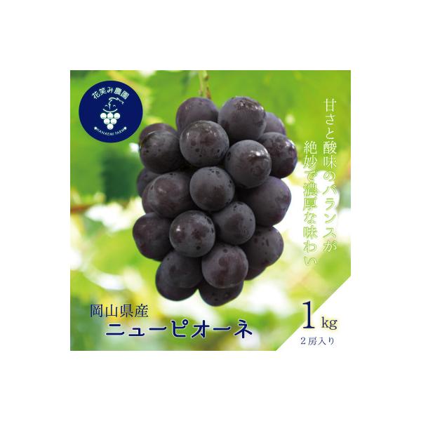 ■お礼品詳細　・配送種別：冷蔵便■お申し込み・配送・その他　・発送時期：2026-08-25〜2026-11-05（お届け時間帯指定可）　・申込受付期間：2025-12-01〜2026-10-21　・配達外のエリア：離島、北海道、沖縄県　・...