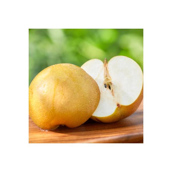 ■お礼品詳細　・配送種別：冷蔵便■お申し込み・配送・その他　・発送時期：2026-07-20〜2026-08-15（お届け時間帯指定可）　・申込受付期間：〜2026-08-10　・配達外のエリア：離島　・寄付証明書の送付時期目安：申込完了日...