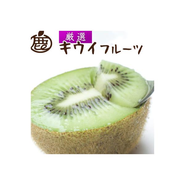 ■お礼品詳細　・配送種別：通常■お申し込み・配送・その他　・発送時期：2025-11-15〜2026-04-30（お届け時間帯指定可）　・申込受付期間：〜2026-04-15　・配達外のエリア：北海道、沖縄県　・寄付証明書の送付時期目安：申...