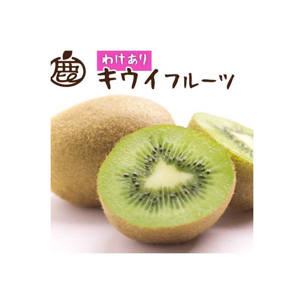 ■お礼品詳細　・配送種別：通常■お申し込み・配送・その他　・発送時期：2025-11-15〜2026-04-30　※年末年始は発送までにお時間をいただく場合がございます（お届け時間帯指定可）　・申込受付期間：〜2026-04-15　・配達外...