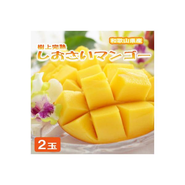 ■お礼品詳細　・配送種別：通常■お申し込み・配送・その他　・発送時期：2026-08-07〜2026-08-28（お届け時間帯指定可）　・申込受付期間：〜2026-08-09　・配達外のエリア：　・寄付証明書の送付時期目安：申込完了日から２...