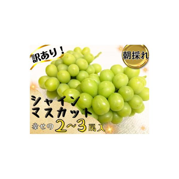 ■お礼品詳細　・配送種別：通常■お申し込み・配送・その他　・発送時期：2026-08-14〜2026-10-20（お届け時間帯指定可）　・申込受付期間：〜2026-09-25　・配達外のエリア：離島　・寄付証明書の送付時期目安：申込完了日か...