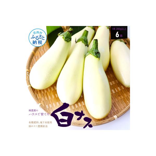 ■お礼品詳細　・配送種別：通常■お申し込み・配送・その他　・発送時期：2025-10-01〜2026-06-25（お届け時間帯指定可）　・申込受付期間：2025-07-01〜2026-06-12　・配達外のエリア：　・寄付証明書の送付時期目...