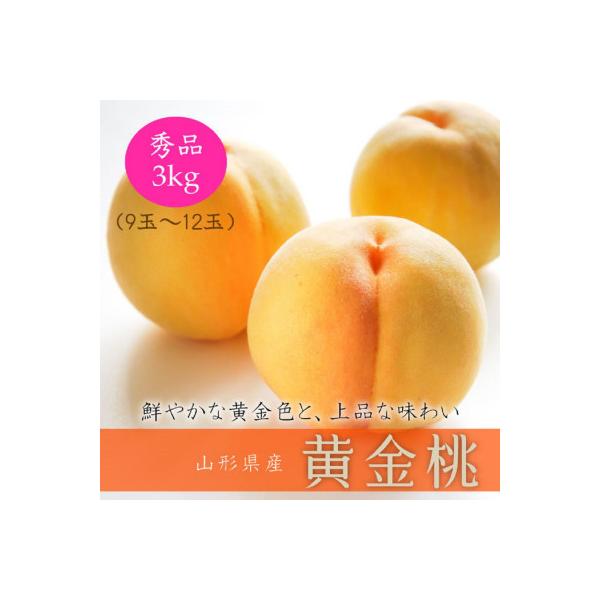 ■お礼品詳細　・配送種別：冷蔵便■お申し込み・配送・その他　・発送時期：2026-08-05〜2026-09-23（お届け時間帯指定可）　・申込受付期間：2025-08-18〜2026-08-31　・配達外のエリア：離島　・寄付証明書の送付...