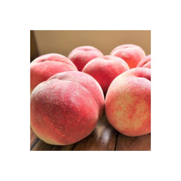 ■お礼品詳細　・配送種別：冷蔵便■お申し込み・配送・その他　・発送時期：2026-08-10〜2026-09-23（お届け時間帯指定可）　・申込受付期間：2025-08-18〜2026-08-31　・配達外のエリア：離島　・寄付証明書の送付...