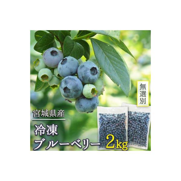 ■お礼品詳細　・配送種別：冷凍便■お申し込み・配送・その他　・発送時期：2026-01-07より順次発送 ※生産・天候・交通等の事情により遅れる場合があります。（お届け時間帯指定可）　・申込受付期間：通年　・配達外のエリア：離島　・寄付証明...