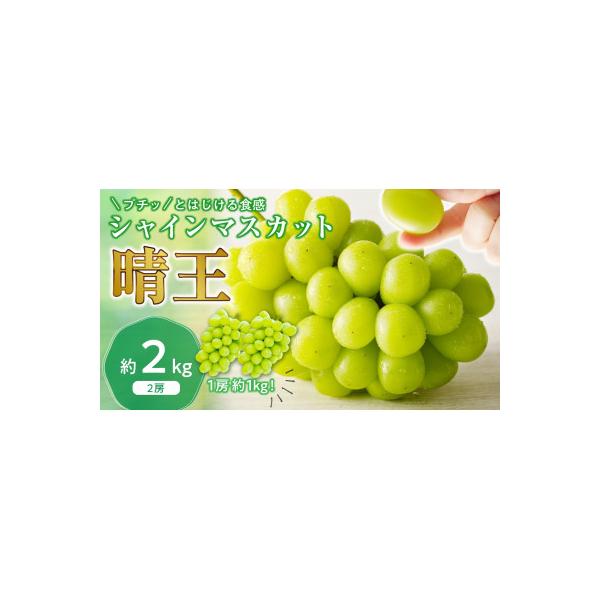 ■お礼品詳細　・配送種別：冷蔵便■お申し込み・配送・その他　・発送時期：2026-09-01〜2026-11-06（お届け時間帯指定可）　・申込受付期間：2025-09-01〜2026-10-31　・配達外のエリア：離島、北海道、沖縄県　・...