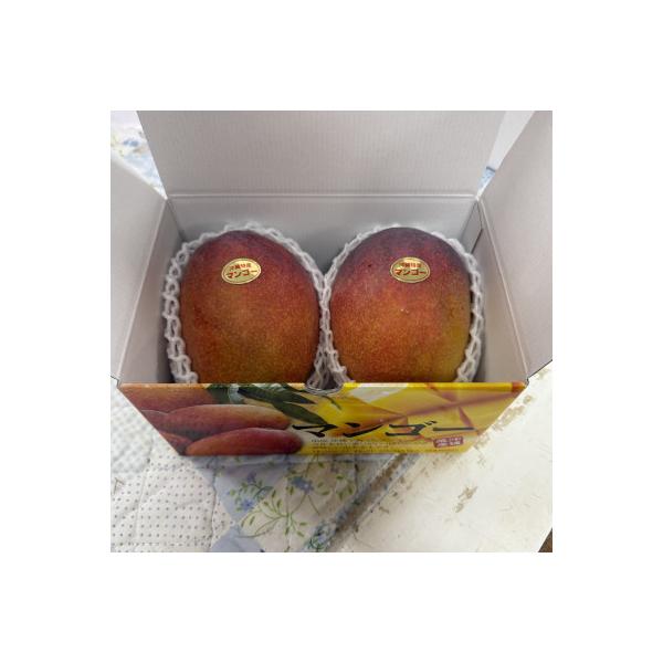 ■お礼品詳細　・配送種別：冷蔵便■お申し込み・配送・その他　・発送時期：2026-06-20〜2026-07-31（お届け時間帯指定可）　・申込受付期間：〜2026-06-30　・配達外のエリア：離島　・寄付証明書の送付時期目安：申込完了日...