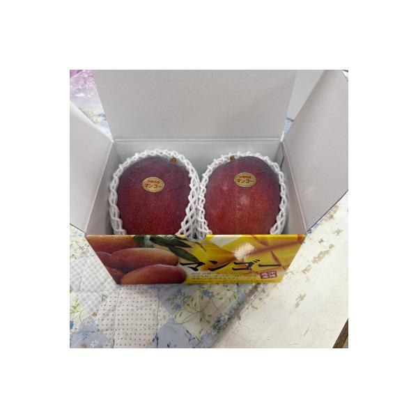 ■お礼品詳細　・配送種別：冷蔵便■お申し込み・配送・その他　・発送時期：2026-06-20〜2026-07-31（お届け時間帯指定可）　・申込受付期間：〜2026-06-30　・配達外のエリア：離島　・寄付証明書の送付時期目安：申込完了日...