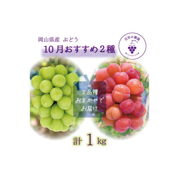 ■お礼品詳細　・配送種別：冷蔵便■お申し込み・配送・その他　・発送時期：2026-10-01〜2026-11-20（お届け時間帯指定可）　・申込受付期間：〜2026-11-15　・配達外のエリア：離島　・寄付証明書の送付時期目安：申込完了日...
