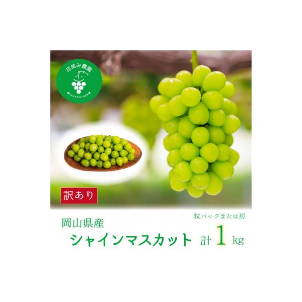 ■お礼品詳細　・配送種別：冷蔵便■お申し込み・配送・その他　・発送時期：2026-09-16〜2026-11-20（お届け時間帯指定可）　・申込受付期間：〜2026-11-15　・配達外のエリア：離島　・寄付証明書の送付時期目安：申込完了日...