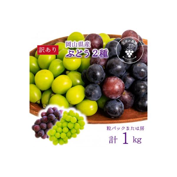 ■お礼品詳細　・配送種別：冷蔵便■お申し込み・配送・その他　・発送時期：2026-09-11〜2026-11-20（お届け時間帯指定可）　・申込受付期間：〜2026-11-15　・配達外のエリア：離島　・寄付証明書の送付時期目安：申込完了日...