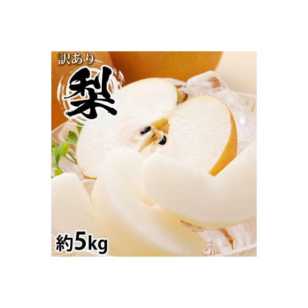 ■お礼品詳細　・配送種別：冷蔵便■お申し込み・配送・その他　・発送時期：2026-08-20〜2026-10-24（お届け時間帯指定可）　・申込受付期間：〜2026-10-11　・配達外のエリア：離島　・寄付証明書の送付時期目安：申込完了日...