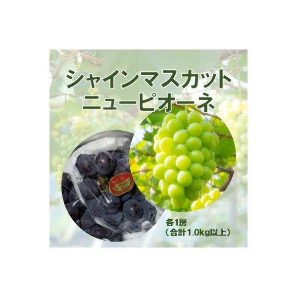 ■お礼品詳細　・配送種別：冷蔵便■お申し込み・配送・その他　・発送時期：2026-09-01〜2026-10-31（お届け時間帯指定可）　・申込受付期間：〜2026-09-30　・配達外のエリア：離島　・寄付証明書の送付時期目安：申込完了日...