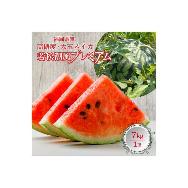 ■お礼品詳細　・配送種別：通常■お申し込み・配送・その他　・発送時期：2026-07-16〜2026-08-15（お届け時間帯指定可）　・申込受付期間：2025-08-16〜2026-07-15　・配達外のエリア：離島　・寄付証明書の送付時...