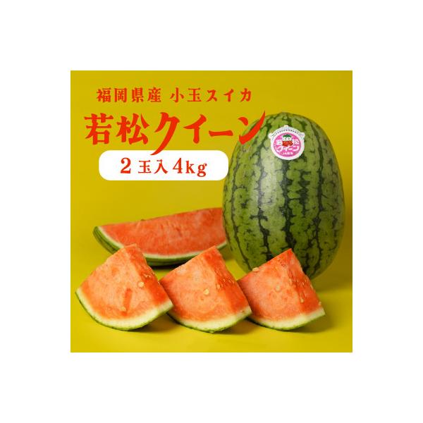 ■お礼品詳細　・配送種別：通常■お申し込み・配送・その他　・発送時期：2026-07-01〜2026-08-15（お届け時間帯指定可）　・申込受付期間：2025-08-16〜2026-07-15　・配達外のエリア：離島　・寄付証明書の送付時...