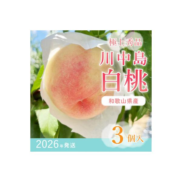 ■お礼品詳細　・配送種別：冷蔵便■お申し込み・配送・その他　・発送時期：2026-07-25〜2026-08-25（お届け時間帯指定可）　・申込受付期間：2025-08-31〜2026-07-20　・配達外のエリア：離島　・寄付証明書の送付...