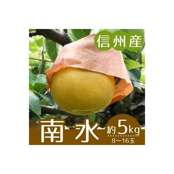 ■お礼品詳細　・配送種別：通常■お申し込み・配送・その他　・発送時期：2026-09-10〜2026-10-12（お届け時間帯指定可）　・申込受付期間：〜2026-10-01　・配達外のエリア：　・寄付証明書の送付時期目安：申込完了日から２...