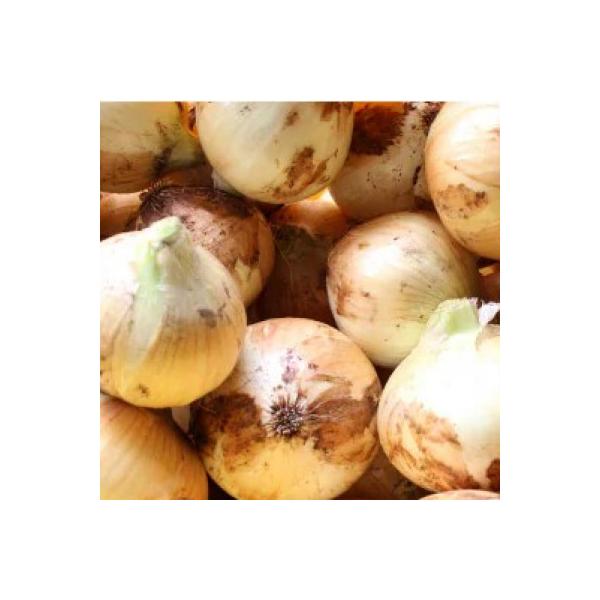 ■お礼品詳細　・配送種別：通常■お申し込み・配送・その他　・発送時期：2026-04-30〜2026-05-31（お届け時間帯指定可）　・申込受付期間：2025-09-01〜2026-04-30　・配達外のエリア：　・寄付証明書の送付時期目...