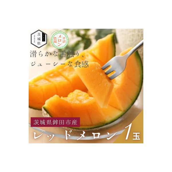 ■お礼品詳細　・配送種別：通常■お申し込み・配送・その他　・発送時期：2026-05-01〜2026-06-30（お届け時間帯指定可）　・申込受付期間：〜2026-05-10　・配達外のエリア：離島、沖縄県　・寄付証明書の送付時期目安：申込...