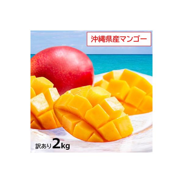 ■お礼品詳細　・配送種別：冷蔵便■お申し込み・配送・その他　・発送時期：2026-07-10〜2026-07-31（お届け時間帯指定可）　・申込受付期間：〜2026-05-31　・配達外のエリア：離島　・寄付証明書の送付時期目安：申込完了日...