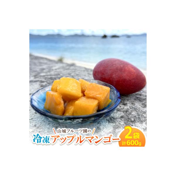 ■お礼品詳細　・配送種別：冷凍便■お申し込み・配送・その他　・発送時期：2025/10/01から順次発送 ※2025/10/01以降のお申し込みは1週間程度で順次発送予定（お届け時間帯指定可）　・申込受付期間：通年　・配達外のエリア：離島　...