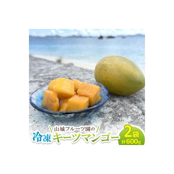 ■お礼品詳細　・配送種別：冷凍便■お申し込み・配送・その他　・発送時期：2025/10/01から順次発送 ※2025/10/01以降のお申し込みは1週間程度で順次発送予定（お届け時間帯指定可）　・申込受付期間：通年　・配達外のエリア：離島　...