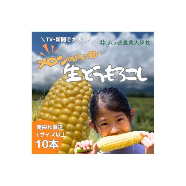 ■お礼品詳細　・配送種別：冷蔵便■お申し込み・配送・その他　・発送時期：2026/08/10〜2026/08/31（お届け時間帯指定可）　・申込受付期間：〜2026-08-25　・配達外のエリア：離島　・寄付証明書の送付時期目安：申込完了日...