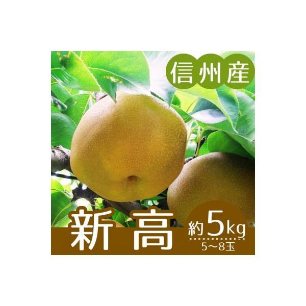 ■お礼品詳細　・配送種別：通常■お申し込み・配送・その他　・発送時期：2026-10-01〜2026-10-09（お届け時間帯指定可）　・申込受付期間：〜2026-10-01　・配達外のエリア：　・寄付証明書の送付時期目安：申込完了日から２...