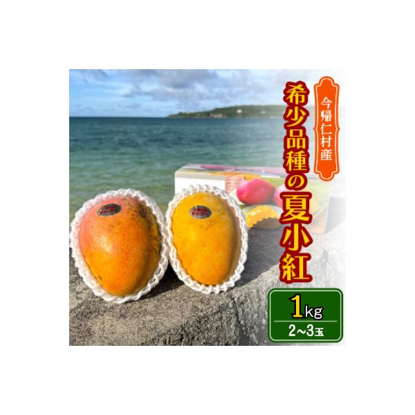 ■お礼品詳細　・配送種別：冷蔵便■お申し込み・配送・その他　・発送時期：2026/07/10〜2026/08/31（お届け時間帯指定可）　・申込受付期間：〜2026-07-20　・配達外のエリア：離島　・寄付証明書の送付時期目安：申込完了日...