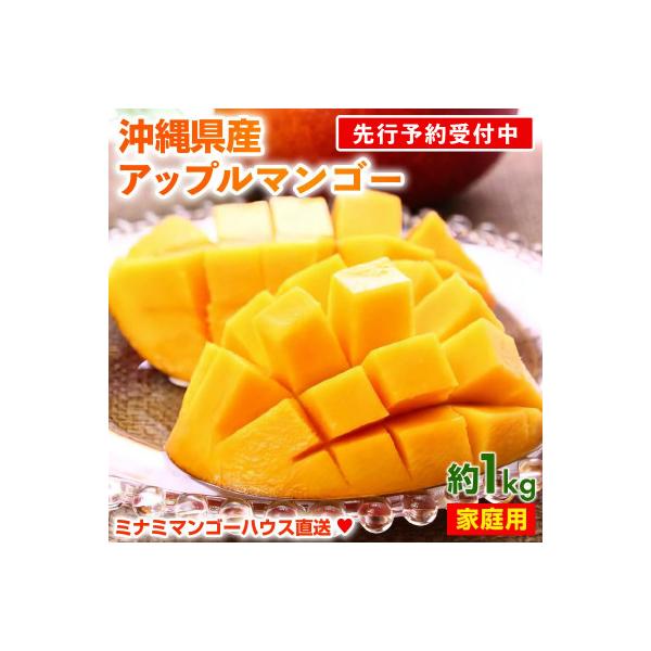 ■お礼品詳細　・配送種別：冷蔵便■お申し込み・配送・その他　・発送時期：2026-06-21〜2026-07-31（お届け時間帯指定可）　・申込受付期間：〜2026-07-15　・配達外のエリア：離島　・寄付証明書の送付時期目安：申込完了日...