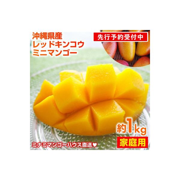 ■お礼品詳細　・配送種別：冷蔵便■お申し込み・配送・その他　・発送時期：2026-06-11〜2026-07-20（お届け時間帯指定可）　・申込受付期間：〜2026-07-15　・配達外のエリア：離島　・寄付証明書の送付時期目安：申込完了日...